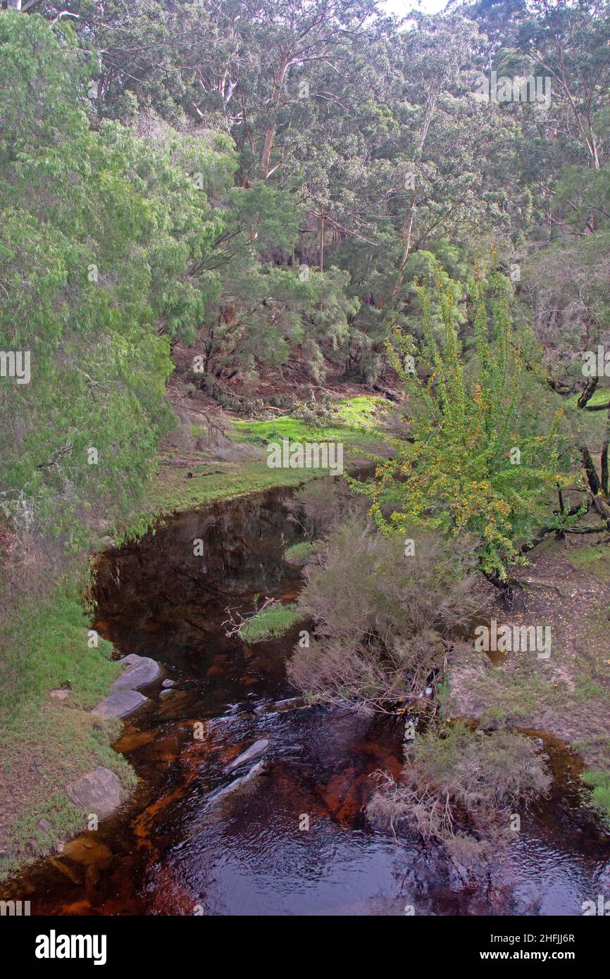 The Warren River in south-west Western Australia Stock Photo - Alamy