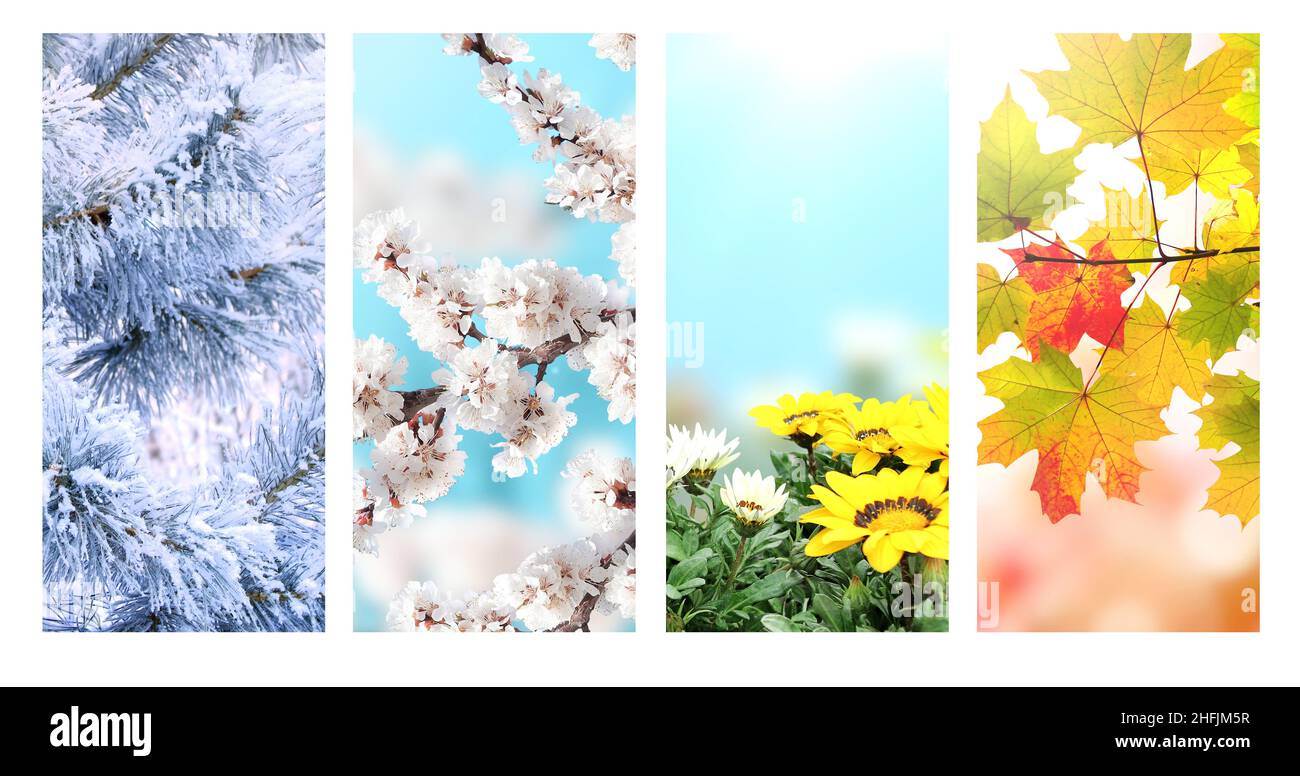 Four seasons of year. Set of vertical nature banners with winter ...