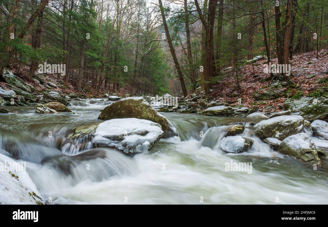 Turbulent rapids through a rocky gorge. Fast-flowing creek downstream ...