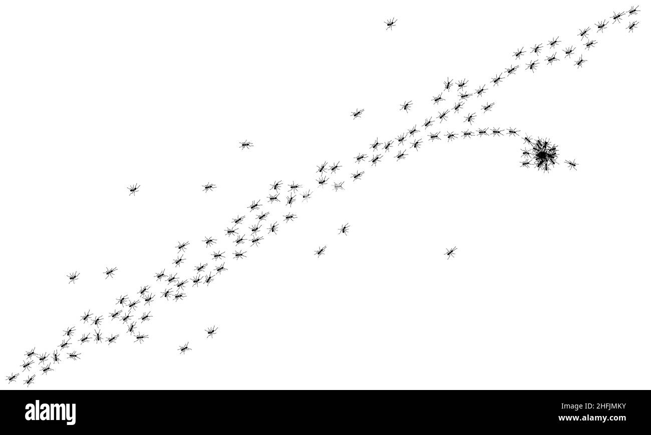 Worker ants trail line flat style design vector illustration isolated on white background Stock ...