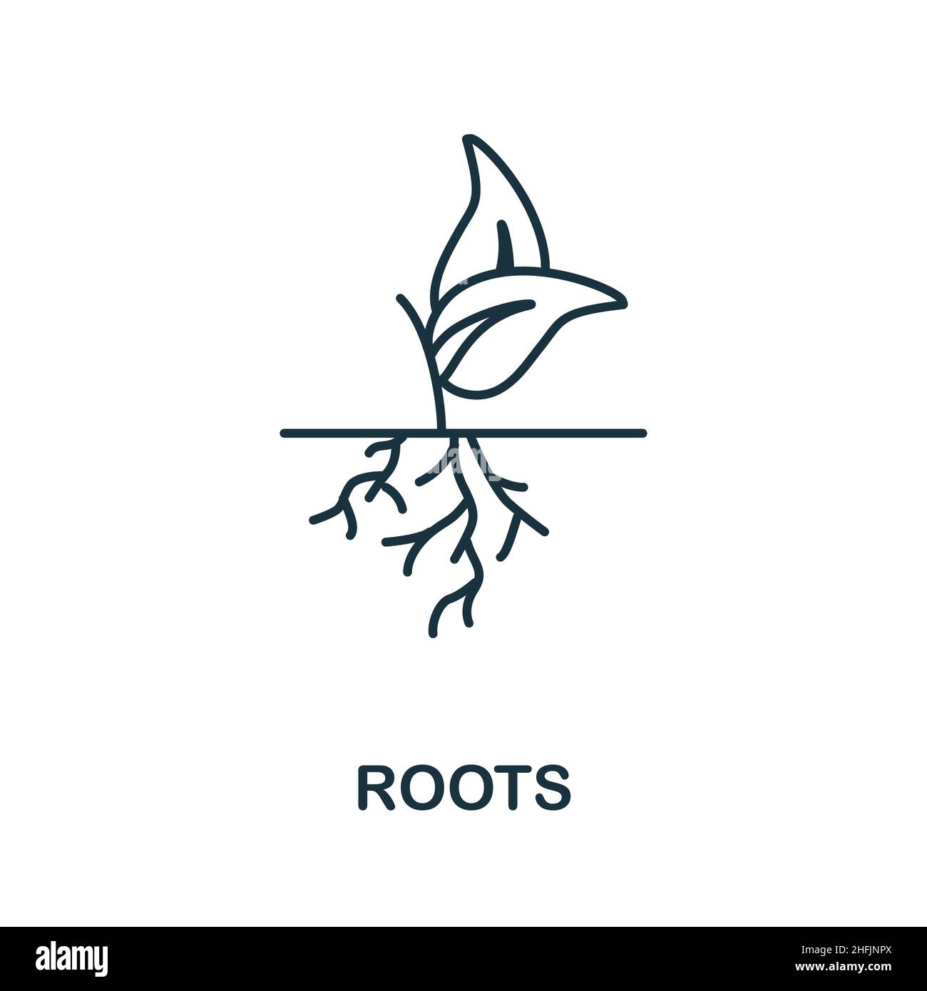 Roots icon. Line element from farming collection. Linear Roots icon ...