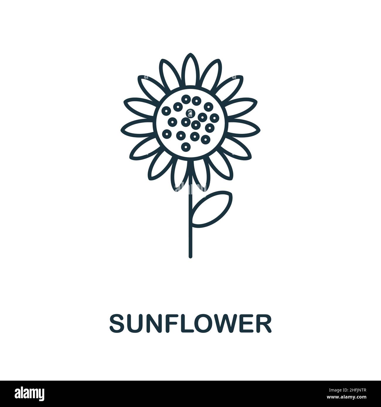 Sunflower icon. Line element from farming collection. Linear Sunflower ...