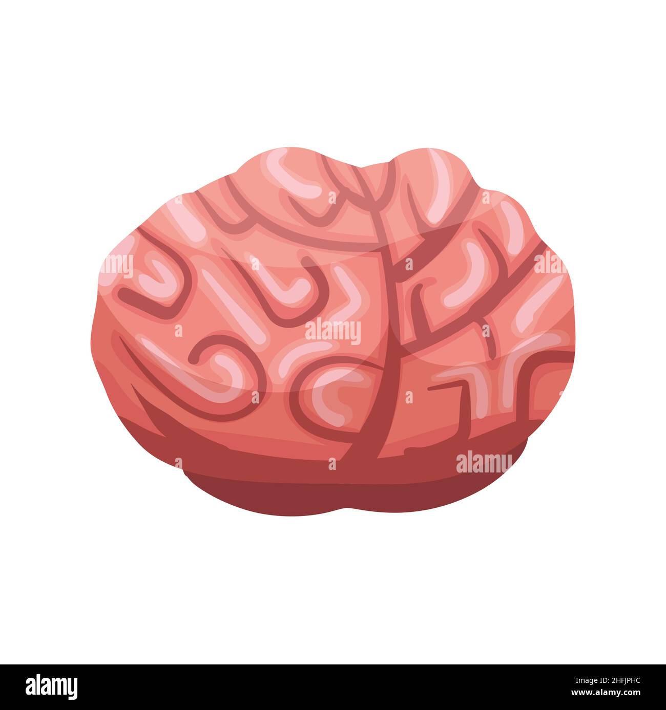 Human brain, organ. Vector illustration cartoon style Stock Vector ...