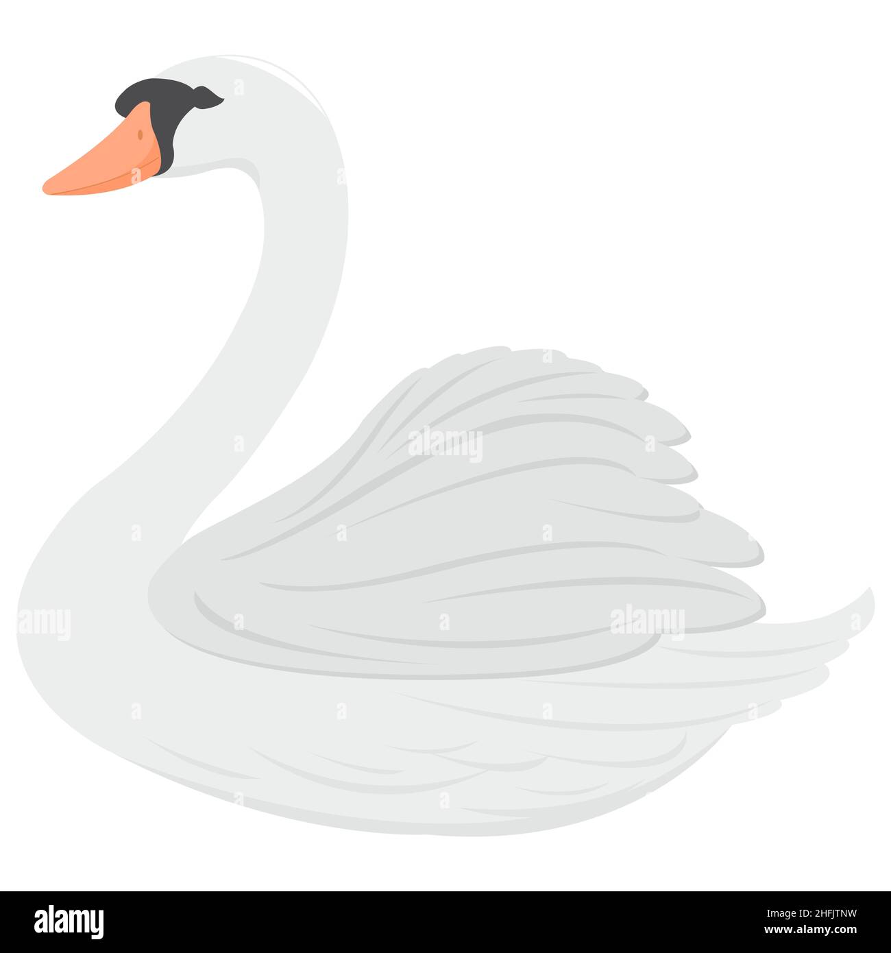 Pretty swan bird in Cut Out Stock Images & Pictures - Alamy