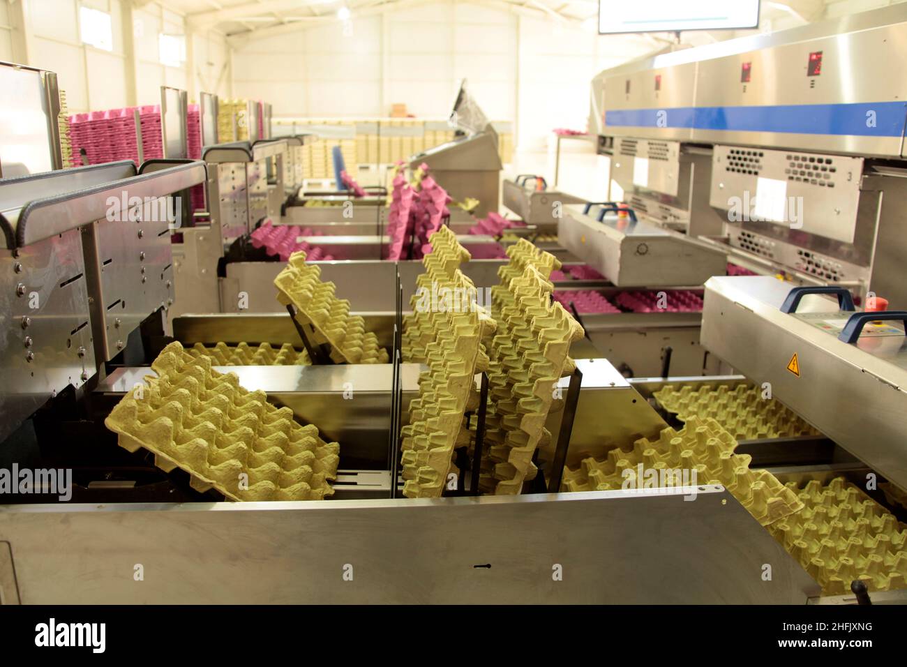 Egg cartons on the production line Stock Photo - Alamy