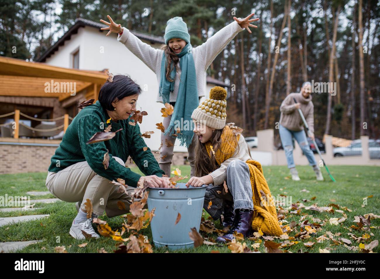 Bucket leaves hi-res stock photography and images - Alamy