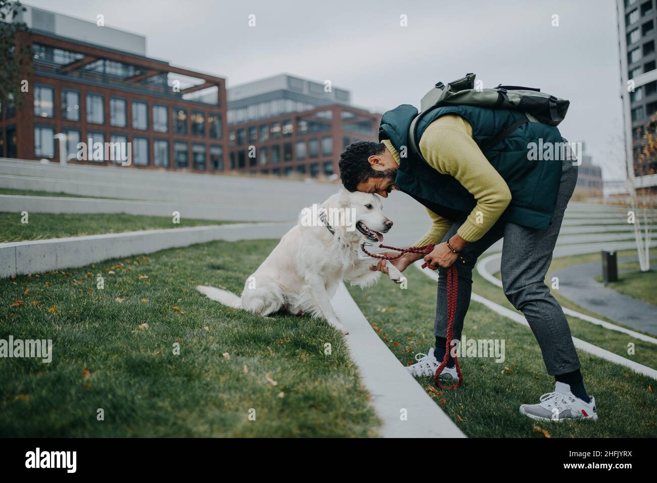 Dog side view outdoors hi-res stock photography and images - Alamy