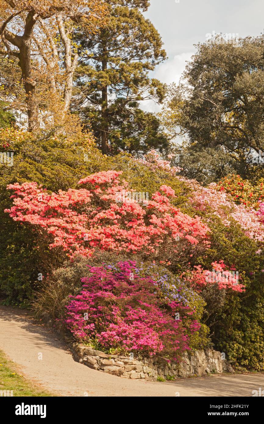Clyne gardens swansea hi-res stock photography and images - Alamy