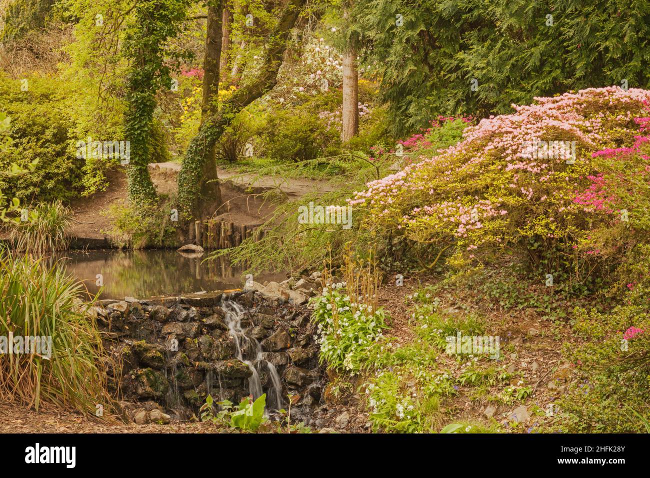 Clyne gardens swansea hi-res stock photography and images - Alamy