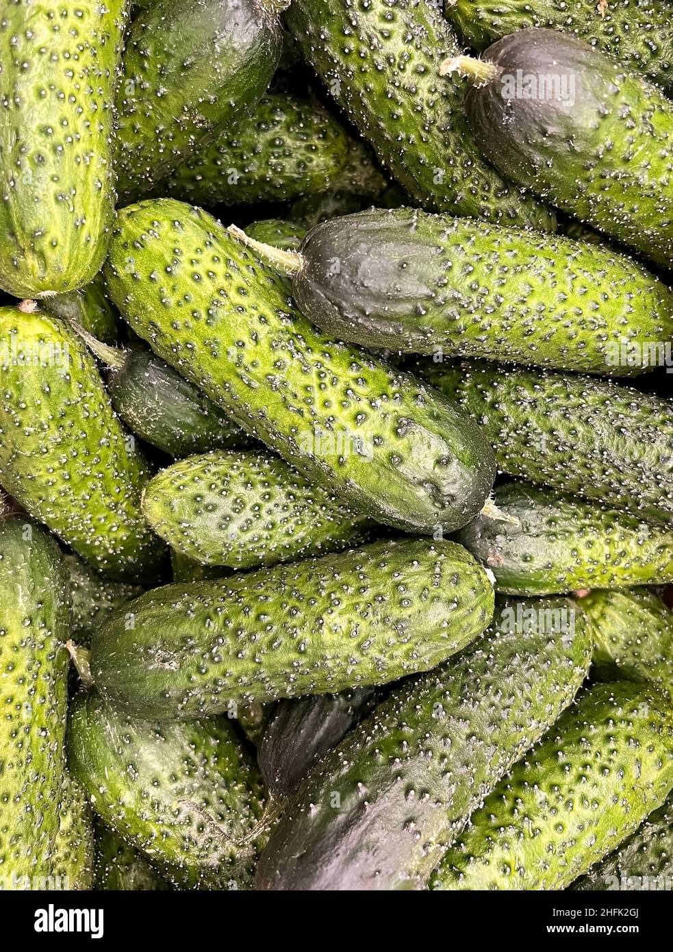 Background of fresh green cucumbers Stock Photo - Alamy