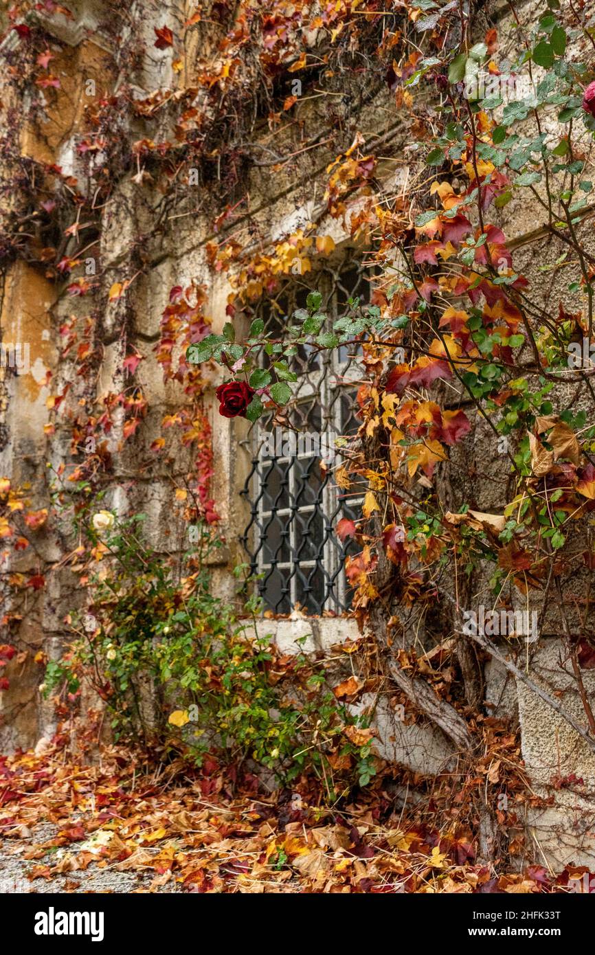 Decaying Statenberg castle still shows its magnificent past Stock Photo ...