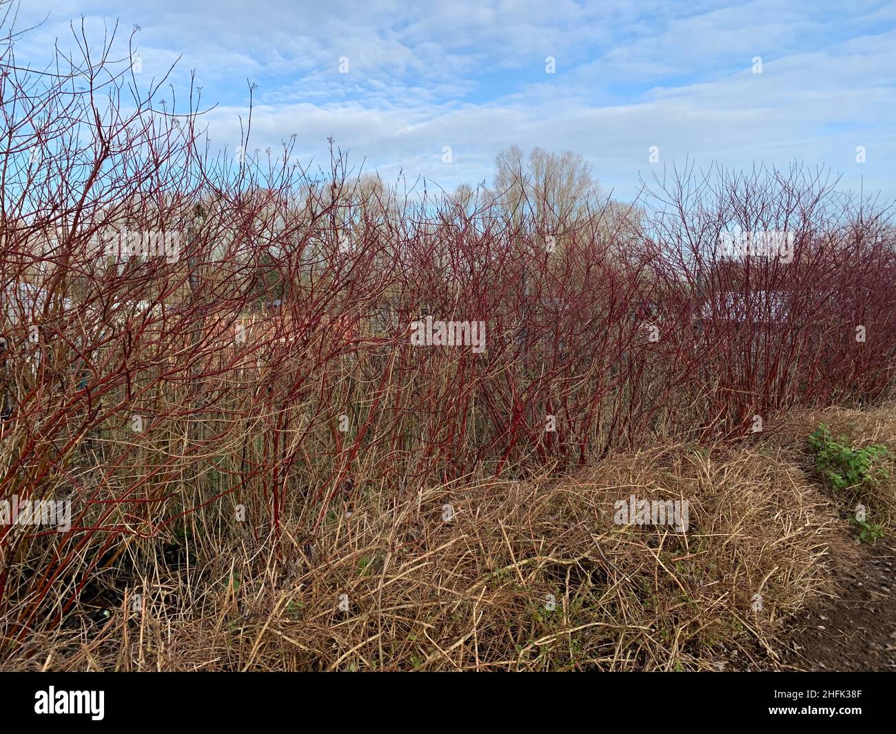 Wolverton near Cosgrove Milton Keynes UK Stock Photo - Alamy