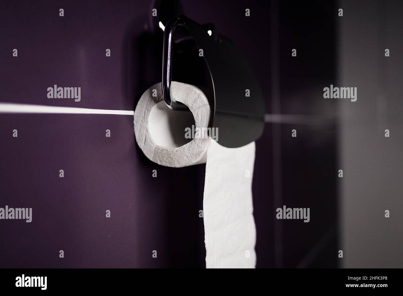 Roll of toilet paper hanging on silver holder Stock Photo - Alamy
