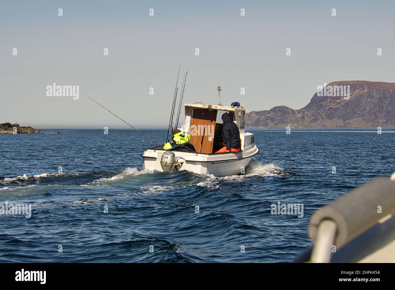 Deep sea angler fish hi-res stock photography and images - Alamy