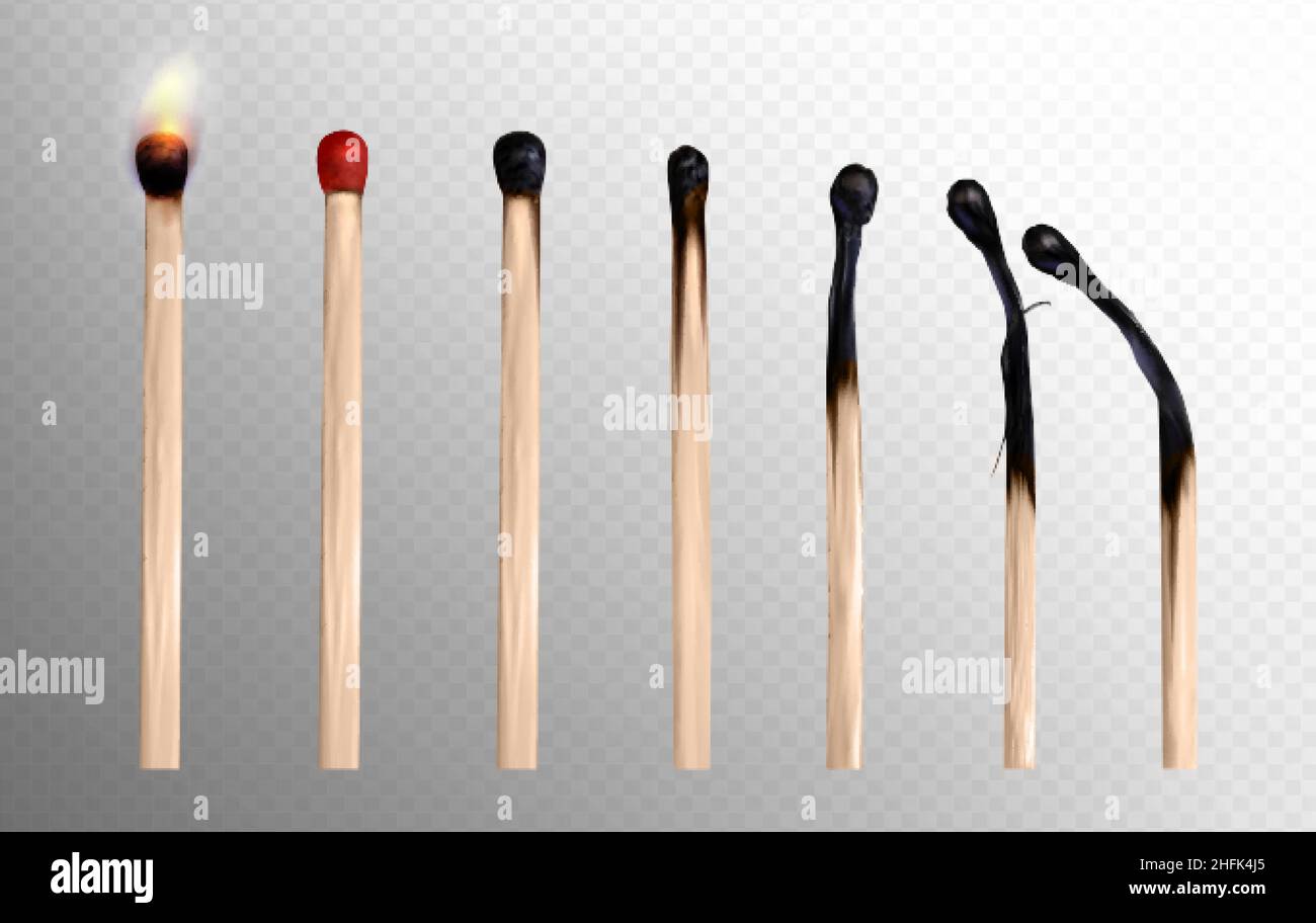 Realistic 3d vector illustration closeup set of whole and burnt wooden ...