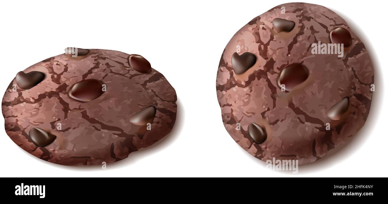 realistic vector icon. Chcolate chip cookie in side and front view ...