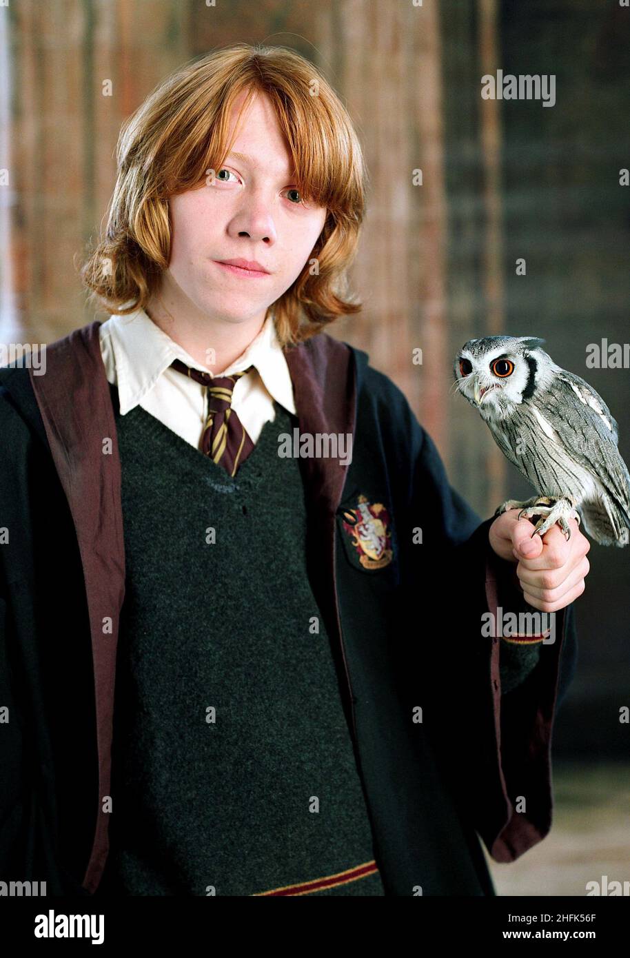 Harry potter owl rupert hi-res stock photography and images - Alamy