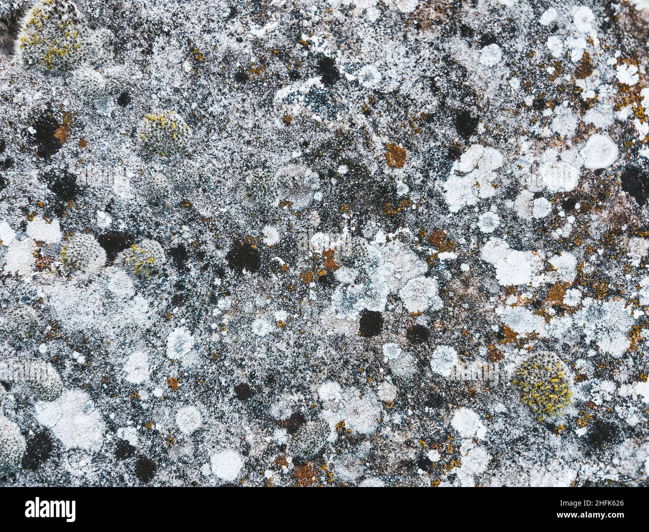 Texture of old stone close up. Natural background with stone pattern ...