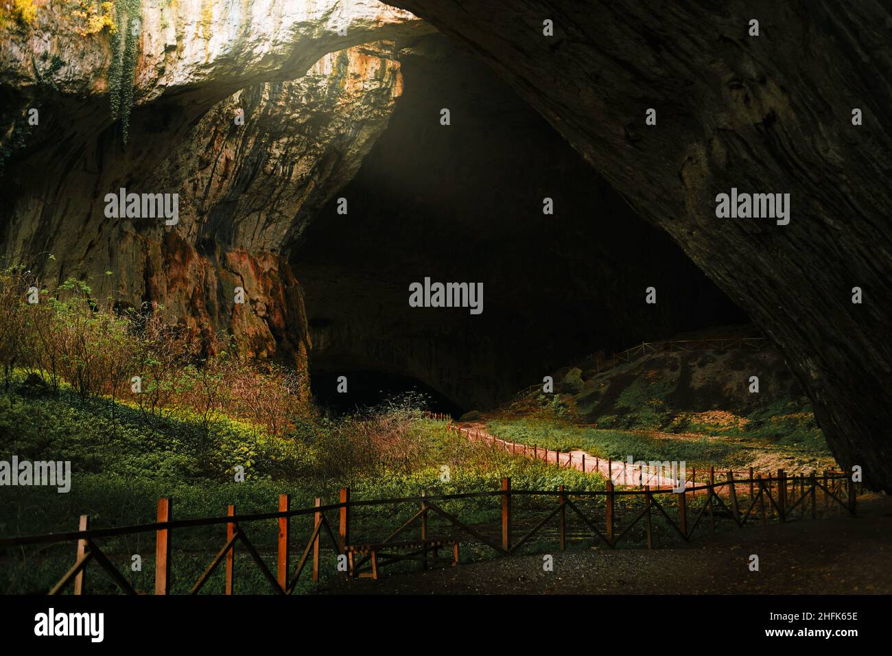 The landscape inside the cave. An ecosystem with a river and trees ...