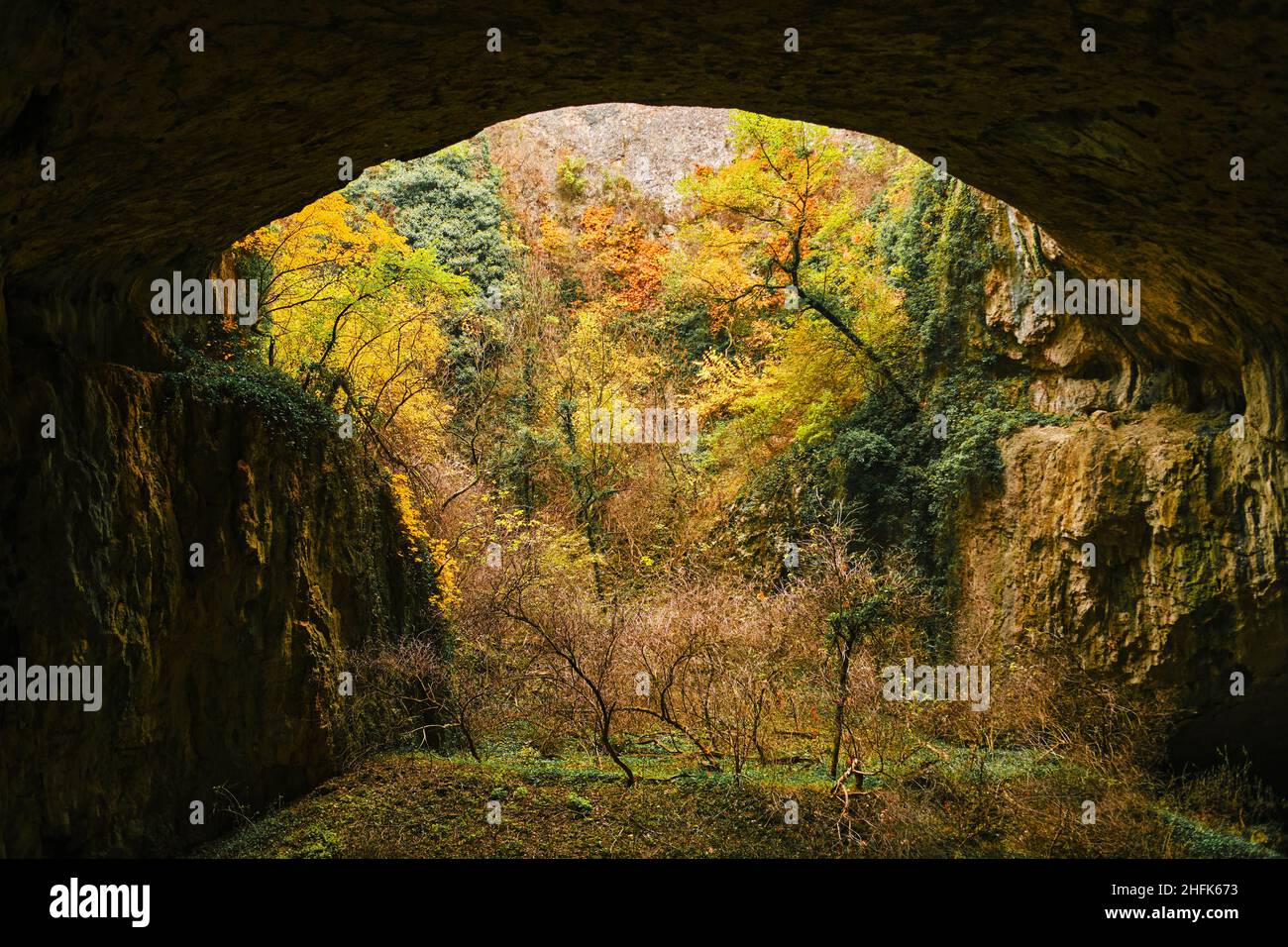 The landscape inside the cave. An ecosystem with a river and trees ...