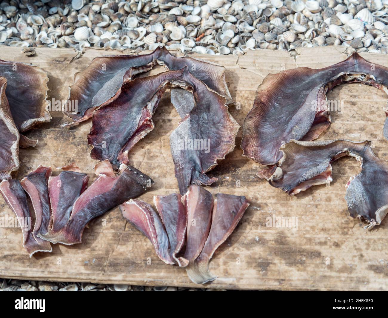 Sea shells and sea food in the box on a beach in Senegal. Africa Stock ...