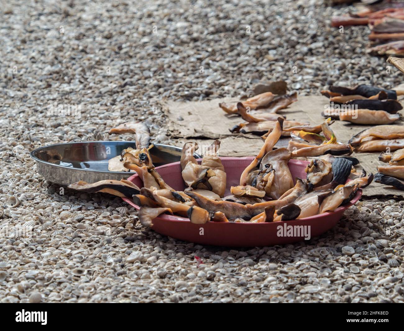 Sea shells and sea food in the box on a beach in Senegal. Africa Stock ...