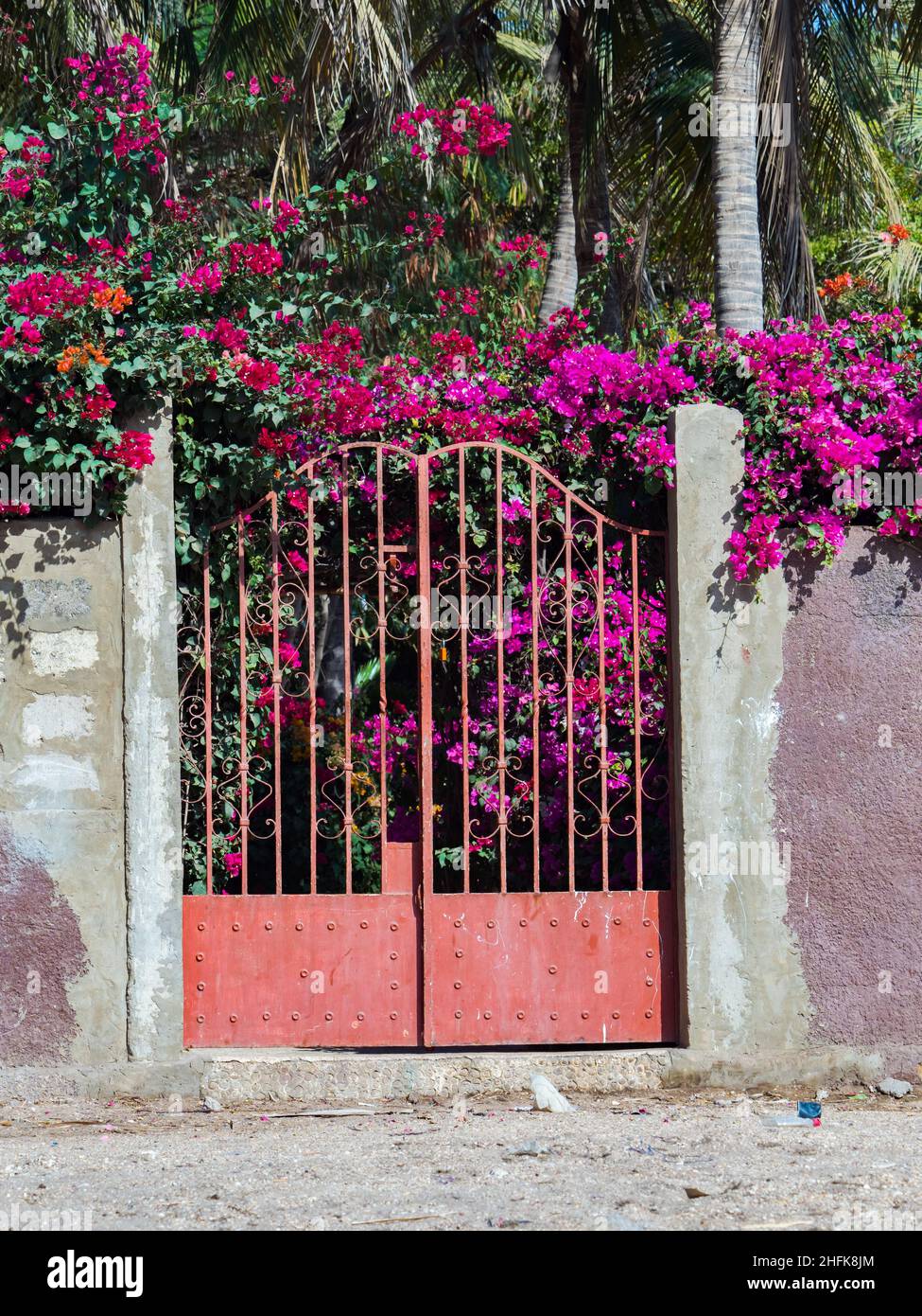Senegal, Africa- Feb 2019: Gate to the garden with plenty of colorful ...