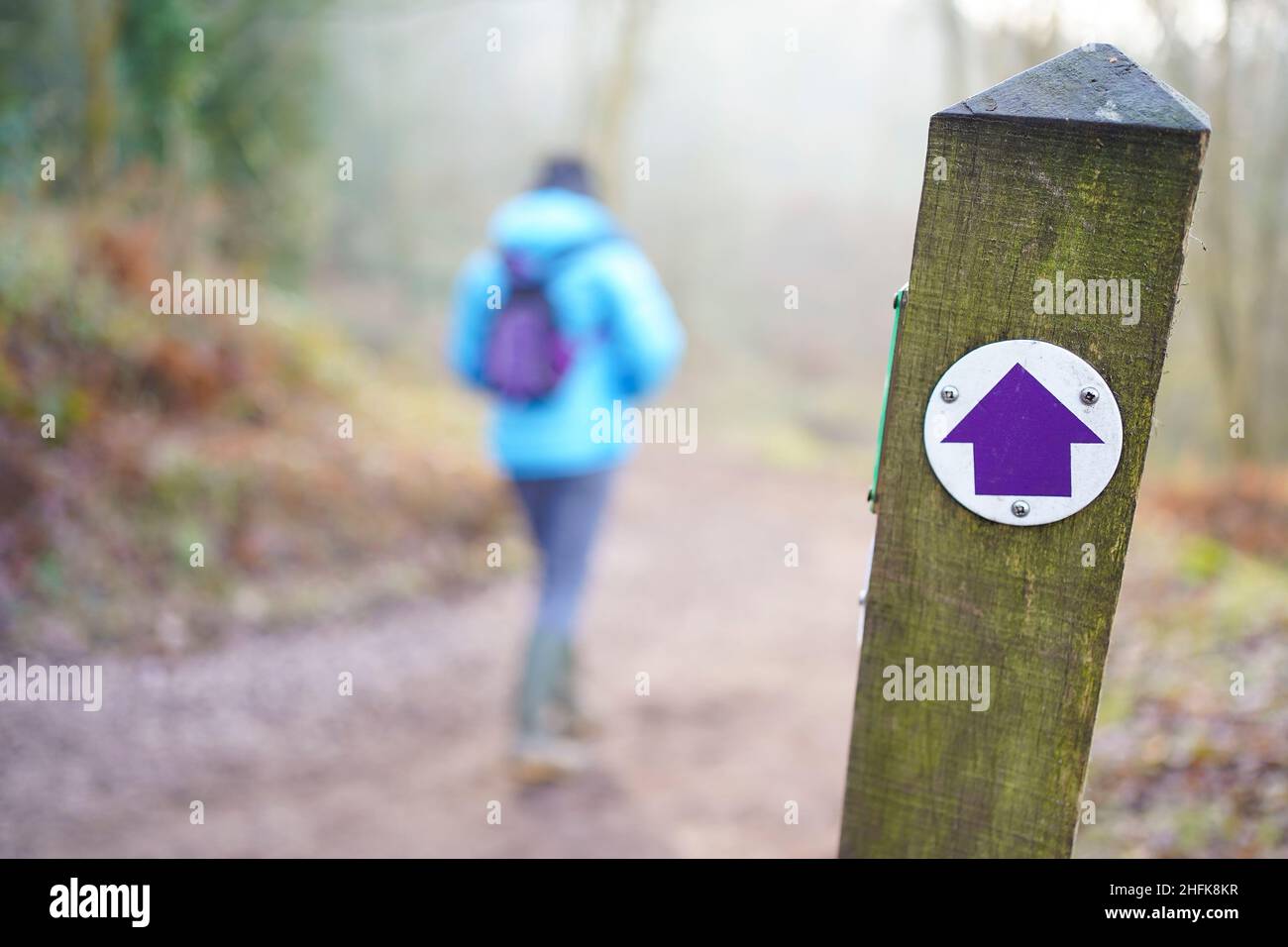 Public footpath sign, permissive bridleway, on a post on a winter's ...