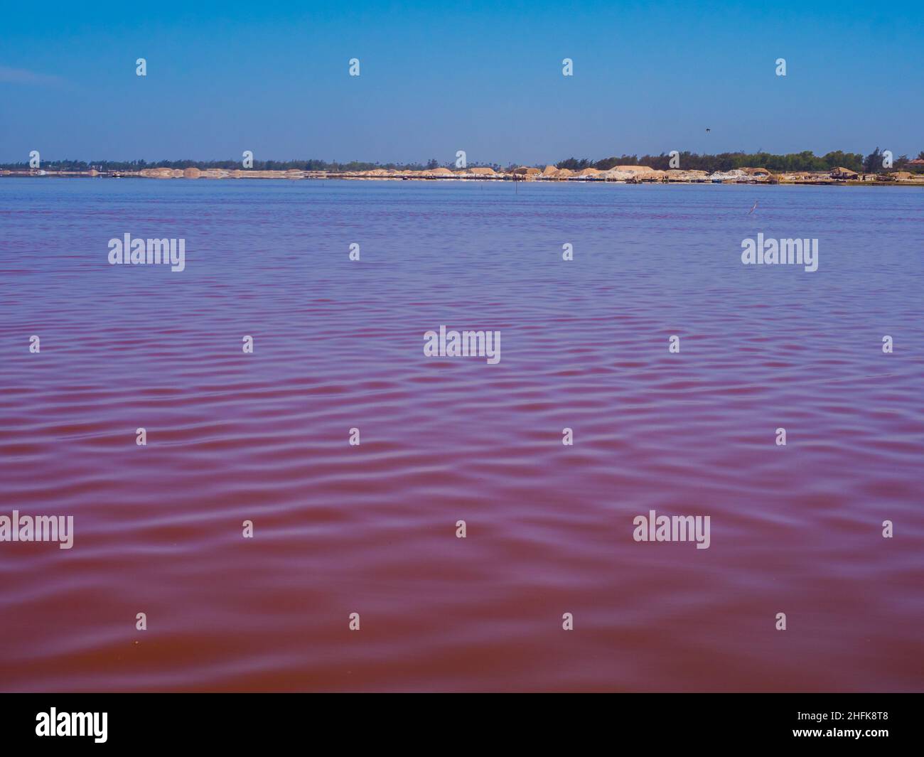 Pink lake retba in the suburbs of Dakar. Place of salt mining. Senegal ...