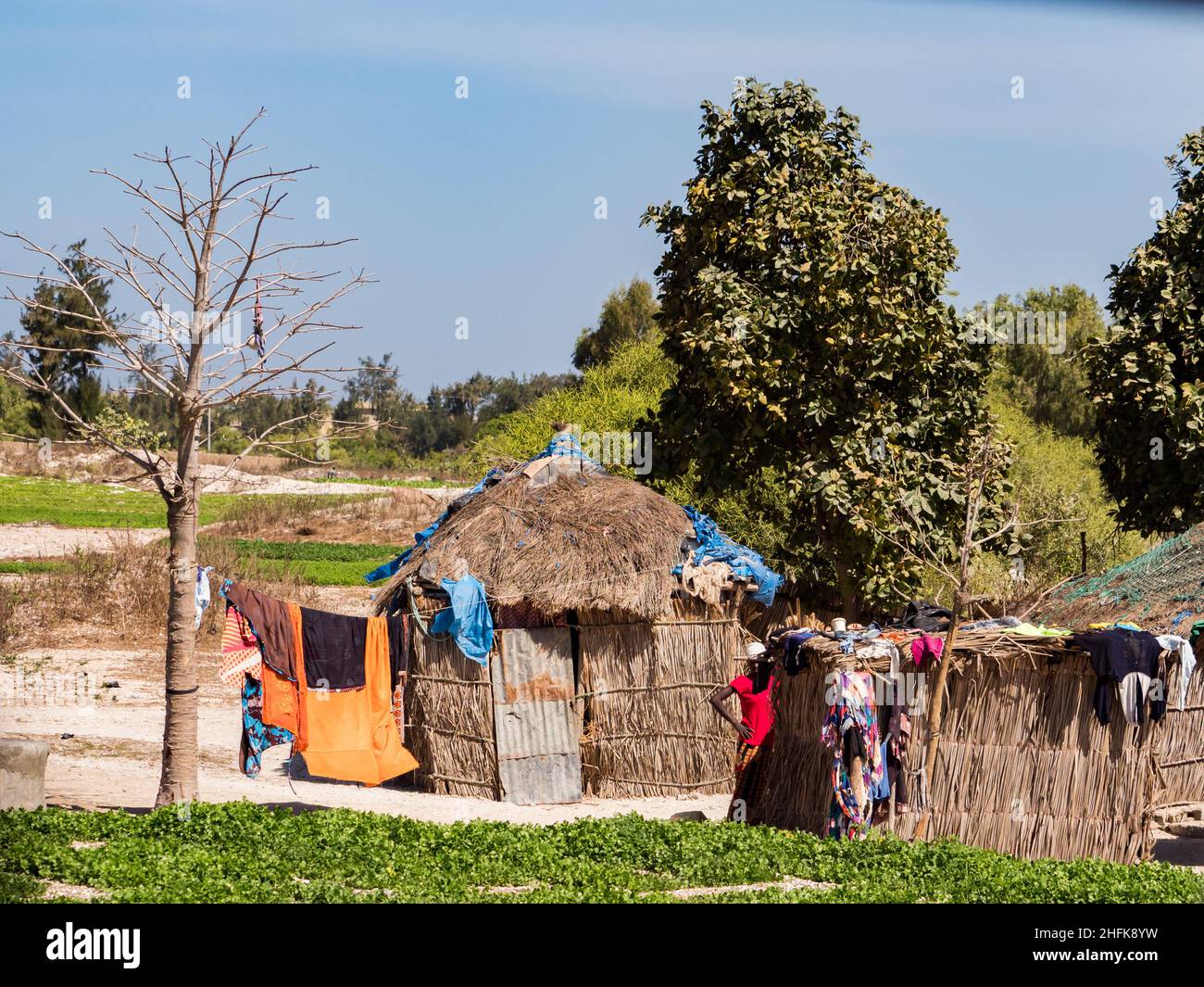 Traditional African hut build from wooden and thatched roof in a ...