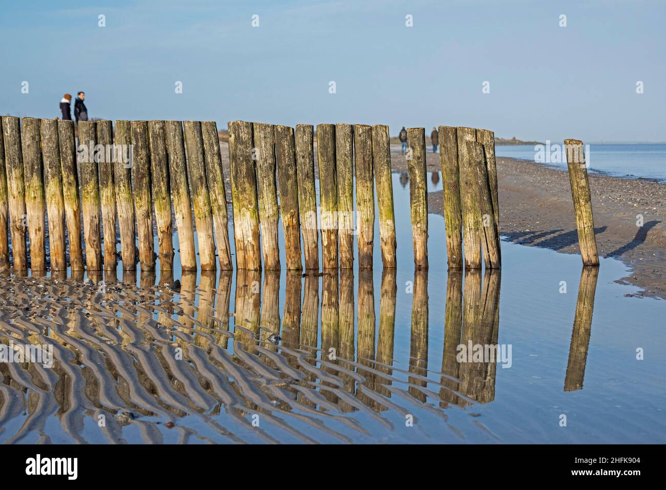 groyne at the beach, Falshöft, Gelting Bay, Schleswig-Holstein, Germany ...