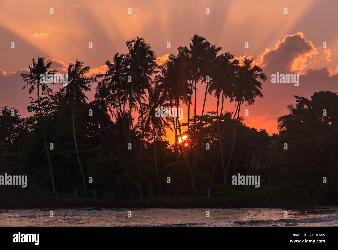 Picturesque sunrise exotic island view. Palms trees litted with a pink ...
