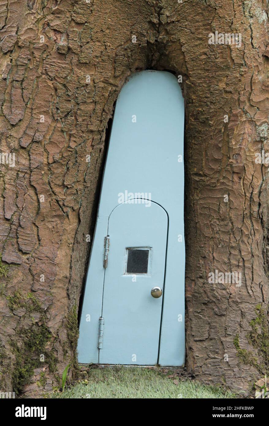 Slim tree trunk hi-res stock photography and images - Alamy