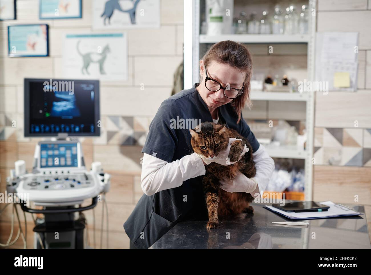 Young vet doctor in uniform treating the pet in vet clinic, she holding ...