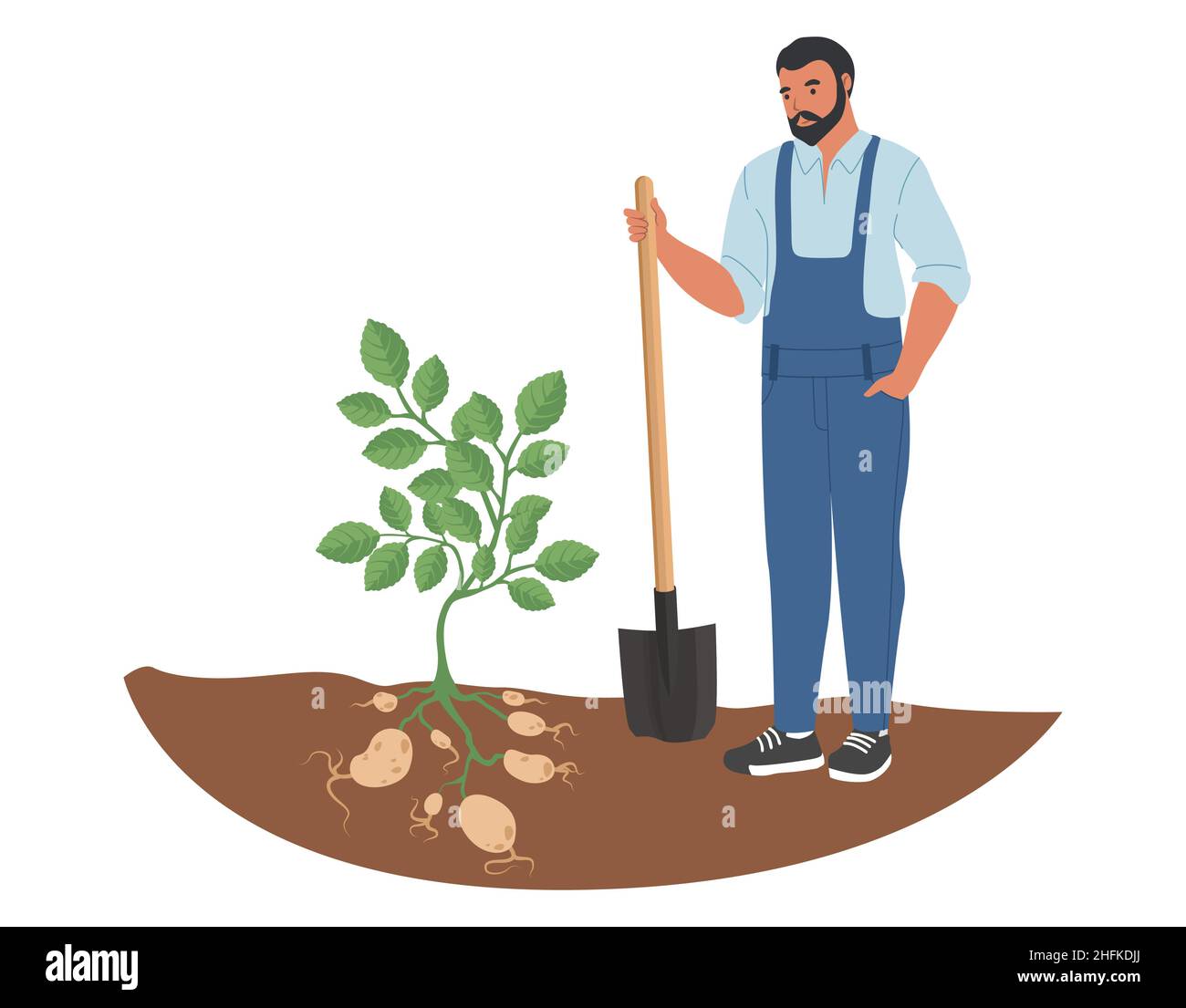 Potato crop harvesting Stock Vector Images - Alamy