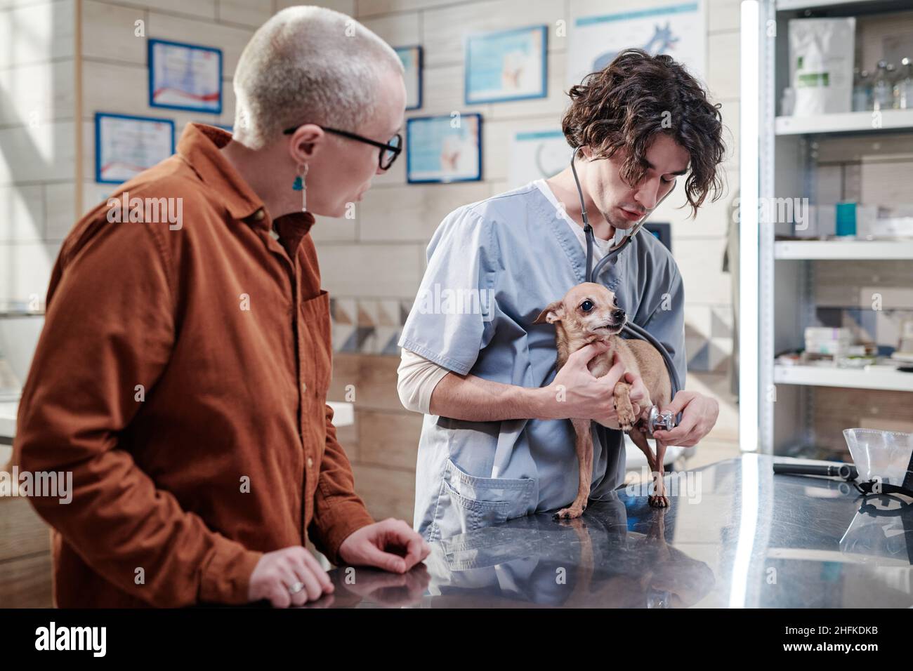 Young vet doctor using stethoscope to examine the dog with its owner ...