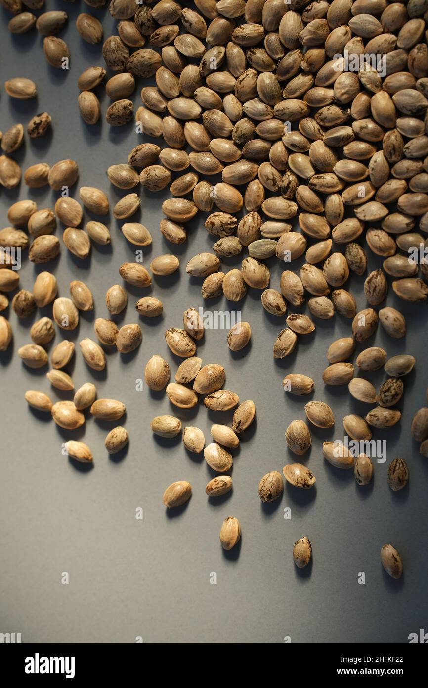 Marijuana seeds hi-res stock photography and images - Alamy