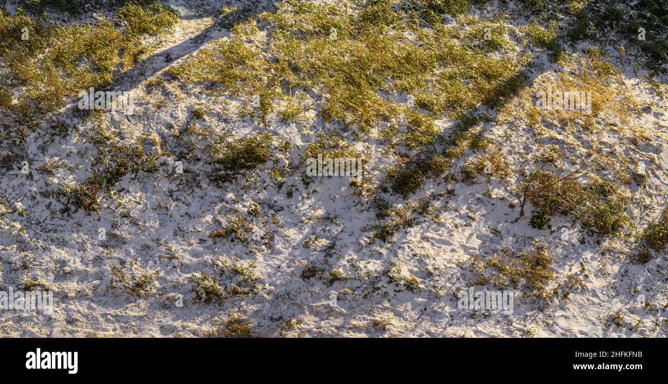 Grass are covered with a crust of ice after icy rain. Natural disaster ...