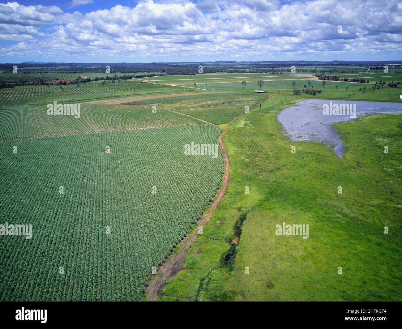 Agriculture australia hi-res stock photography and images - Alamy