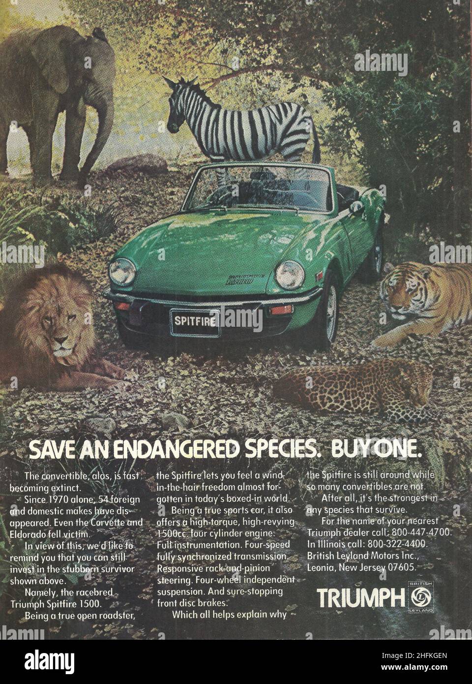 Vintage advertisement paper ad of Triumph Spitfire 1500 race cars Stock ...