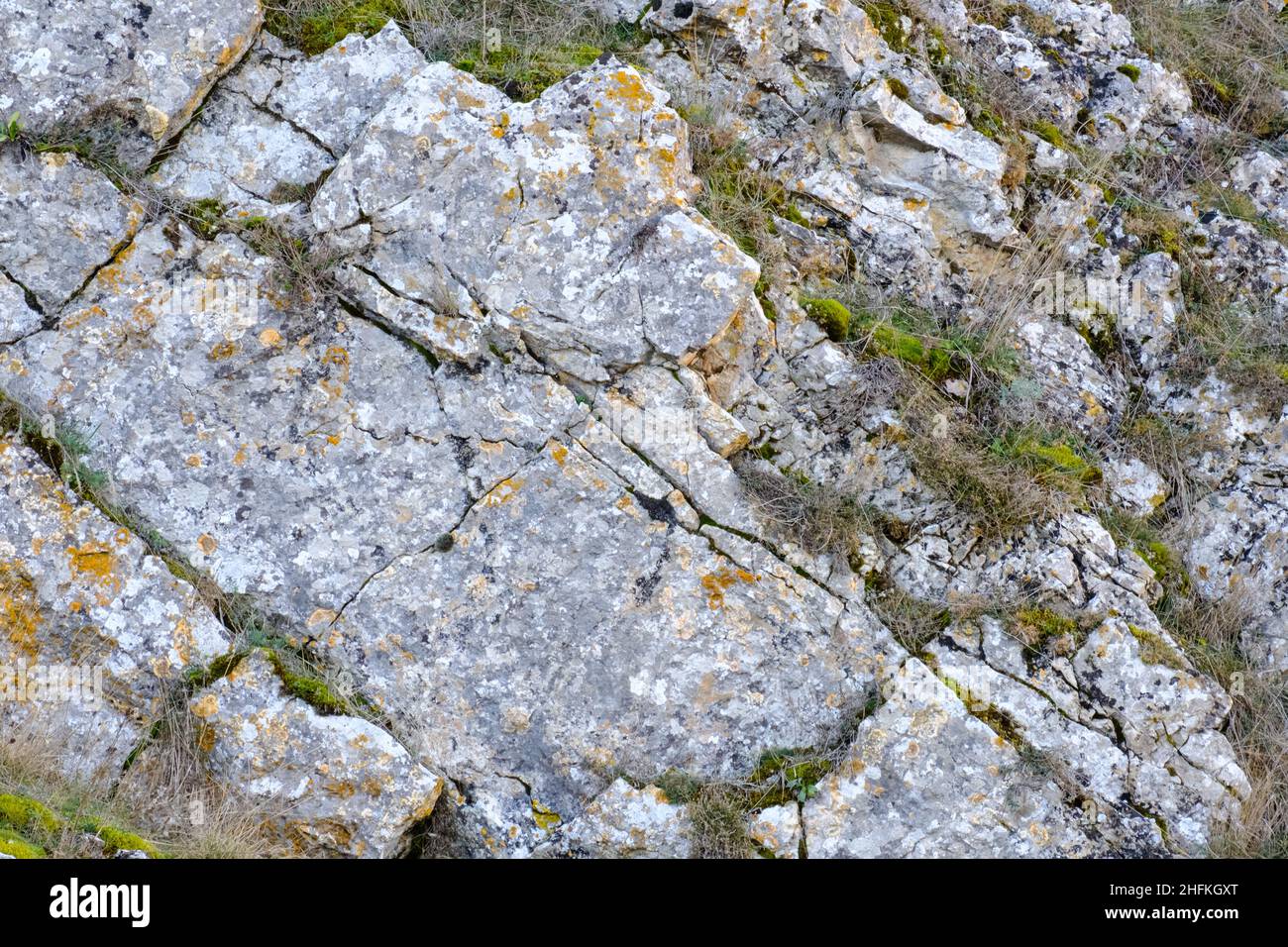 Texture with gray rock and moss Stock Photo - Alamy