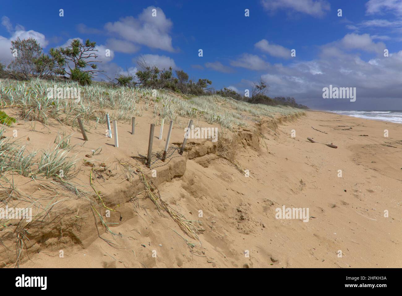 Turtle nesting sites at Deepwater National Park Queensland Australia ...