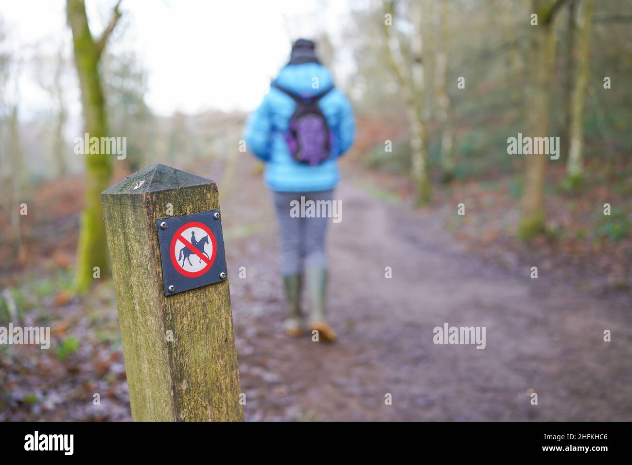 No Horses waymarker sign on a wooden post with the rear view of a ...