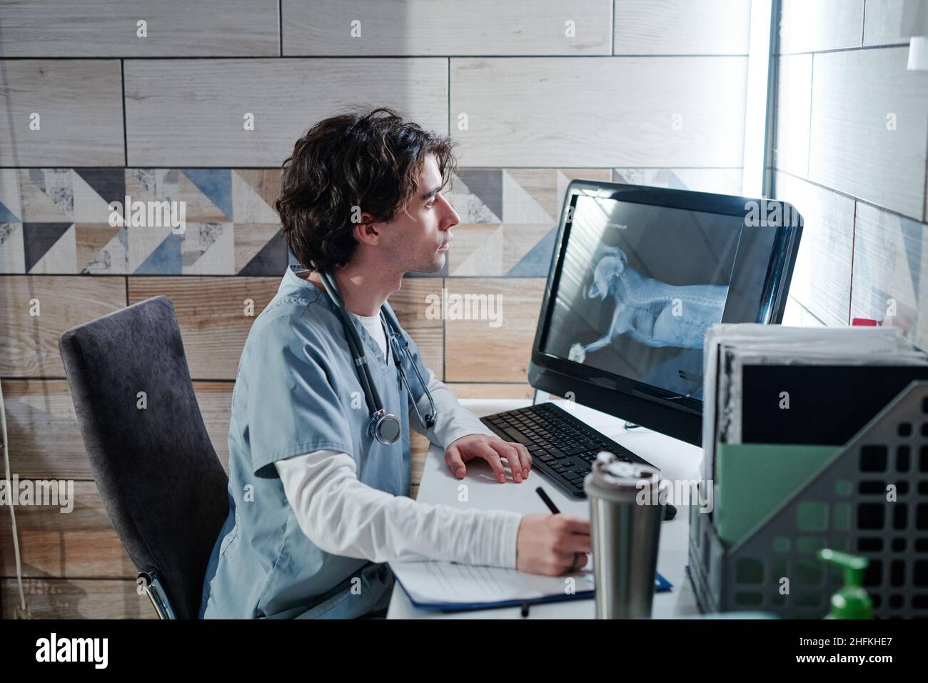 Young vet doctor sitting at the table in front of the computer monitor ...