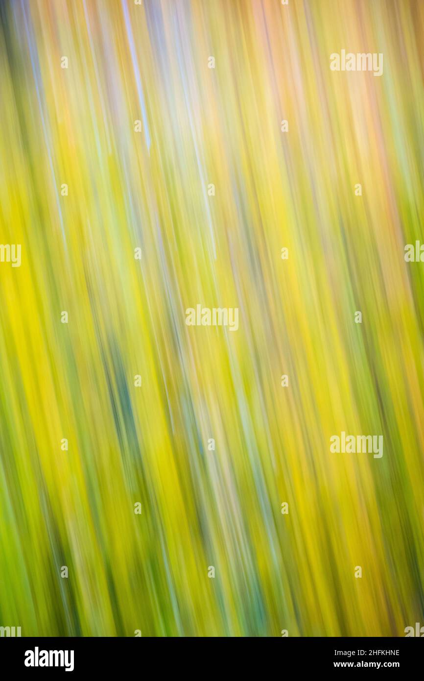 Moving color patterns Stock Photo - Alamy