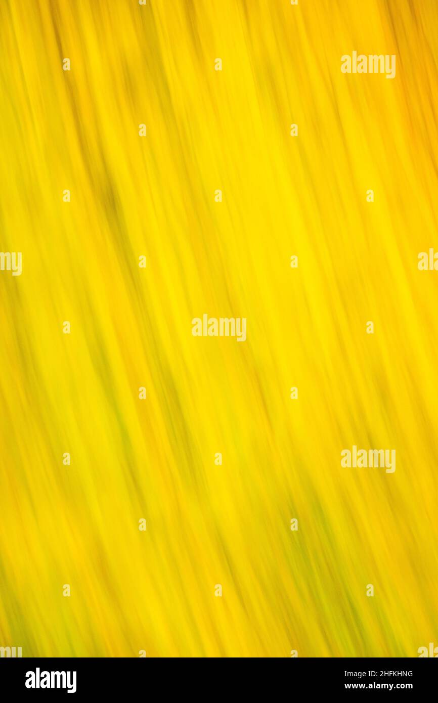 Moving color patterns Stock Photo - Alamy