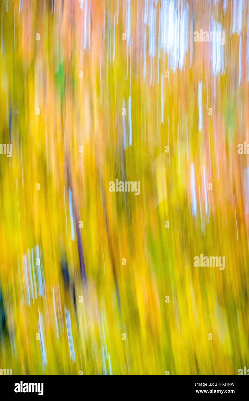 Moving color patterns Stock Photo - Alamy