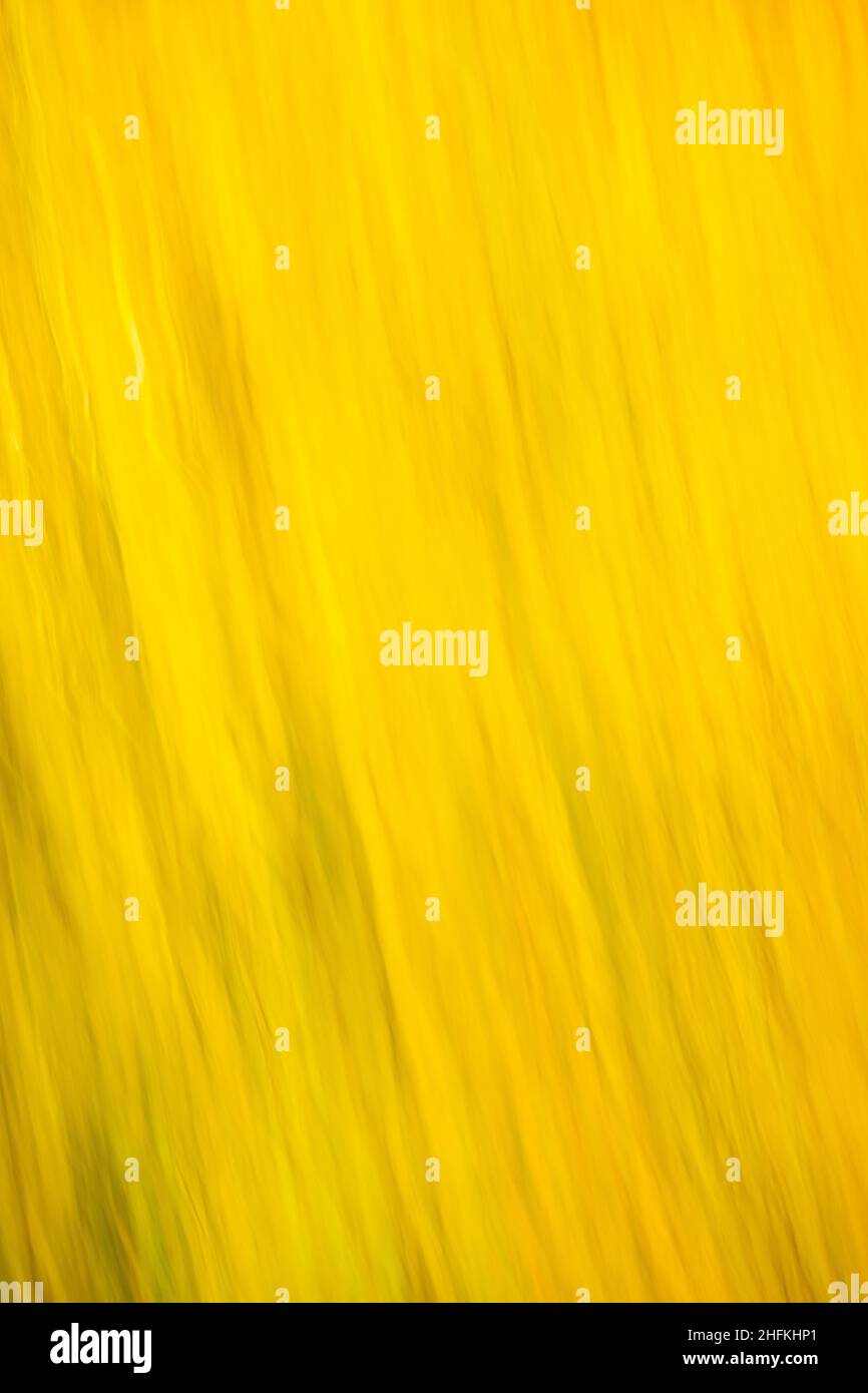Moving color patterns Stock Photo - Alamy