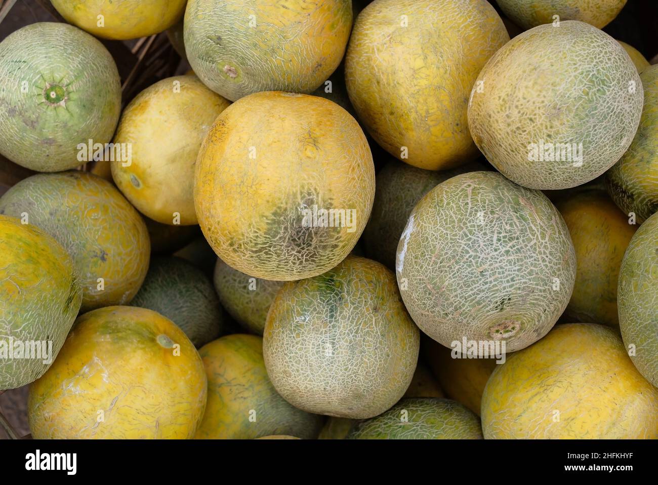 Fresh Melon - Large quantities of melon in the basket. Fresh melon in ...