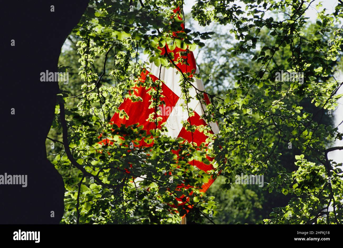 Danish Flag Through Trees Stock Photo - Alamy
